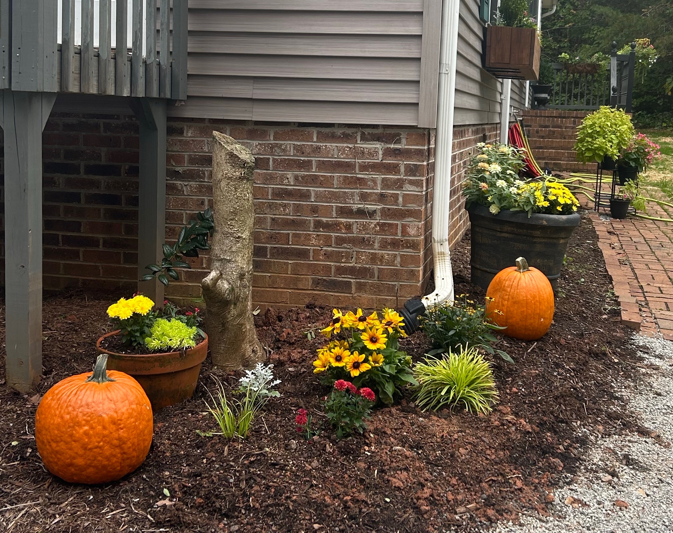 Fall – fields of poppies